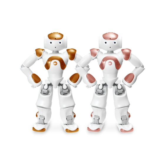 NAO V6 - AI Edition